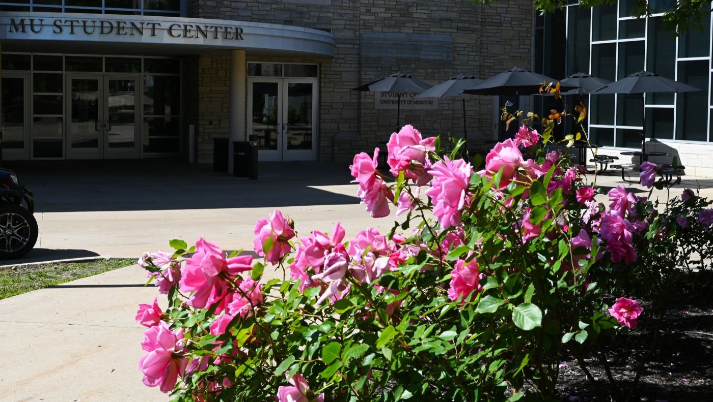 Campus Gem Right at our Feet - Career Center